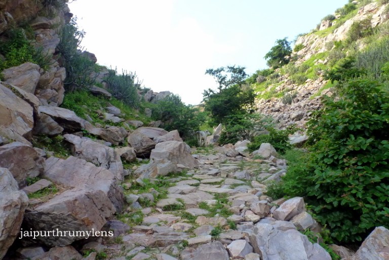 Achrol Fort | A sad state – JaipurThruMyLens