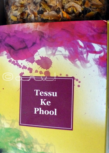 The Search For Flame Of The Forest Tree In Jaipur | Palash Flowers ...