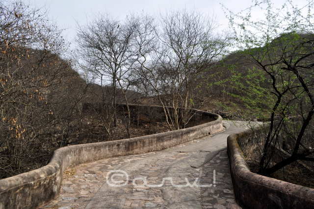 Naila-A village tucked away in time | Walkthrough – JaipurThruMyLens