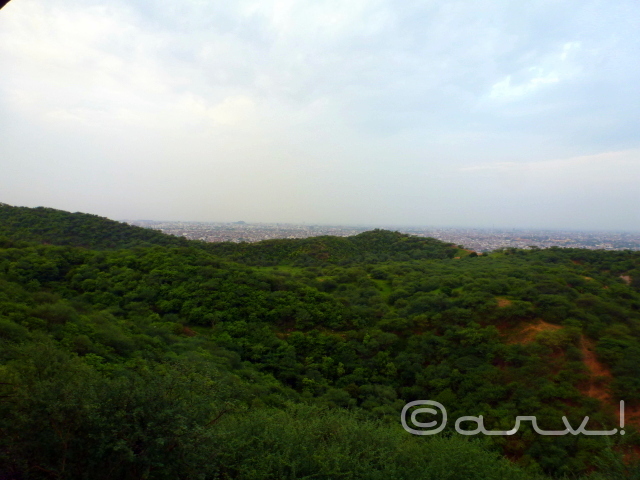 Nature walk In Jaipur During Monsoon – JaipurThruMyLens