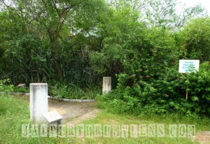 World Forestry Arboretum, Jaipur – JaipurThruMyLens