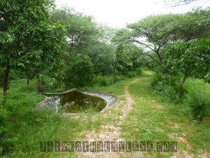 World Forestry Arboretum, Jaipur – JaipurThruMyLens