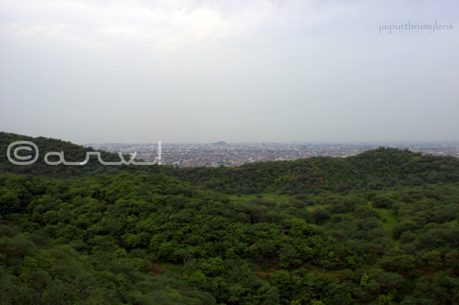 Views of Jaipur From The Top | On The Edge of The City – JaipurThruMyLens
