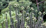 I bet you wouldn’t have heard about Thor Danda! – JaipurThruMyLens