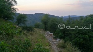 What Makes A Hike Along Dhok Tree Trail In Jaipur Alluring ...