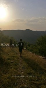 What Makes A Hike Along Dhok Tree Trail In Jaipur Alluring ...