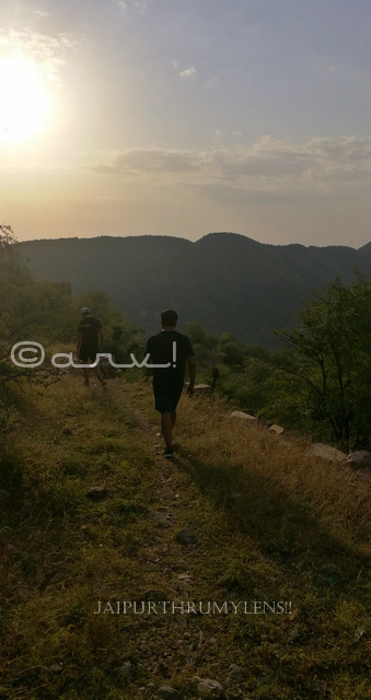 What Makes A Hike Along Dhok Tree Trail In Jaipur Alluring ...