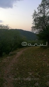 What Makes A Hike Along Dhok Tree Trail In Jaipur Alluring ...