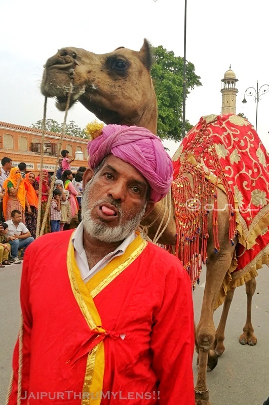 Jester | Teej Festival Jaipur – JaipurThruMyLens