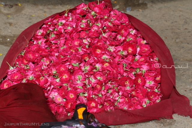 Is a Visit To Jaipur Flower Market An Authentic Local Experience ...
