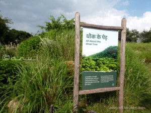 Kishan Bagh | The Most Scenic Point In Jaipur? – JaipurThruMyLens